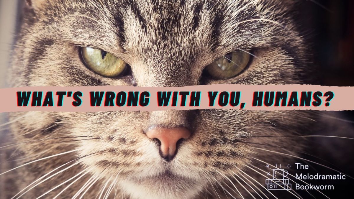 Rant: The Continued Absence of Courtesy – The Melodramatic Bookworm