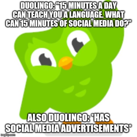 10 Reasons Why I Think the Duolingo App is Bringing About Its Own ...