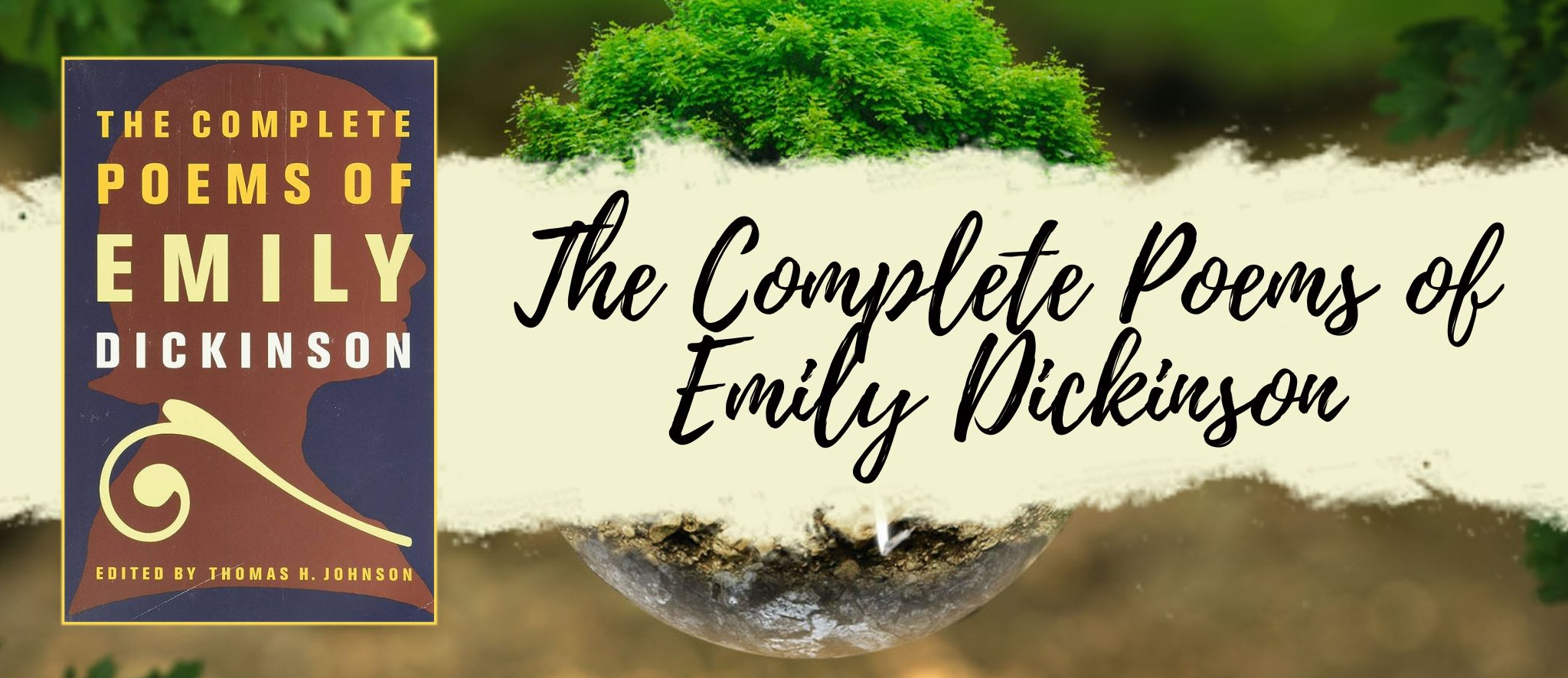 My Favorite Book Quotes of All Time – Part 3 | Some Great Quotes from ...